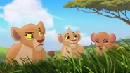 Zuri/Gallery/Fuli's New Family | The Lion Guard Wiki | Fandom