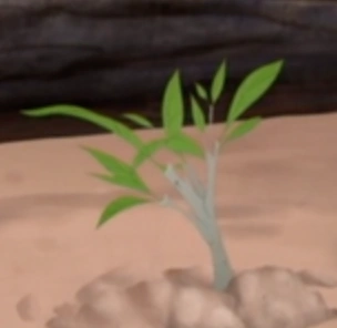 Baobab Trees | The Lion Guard Wiki | Fandom