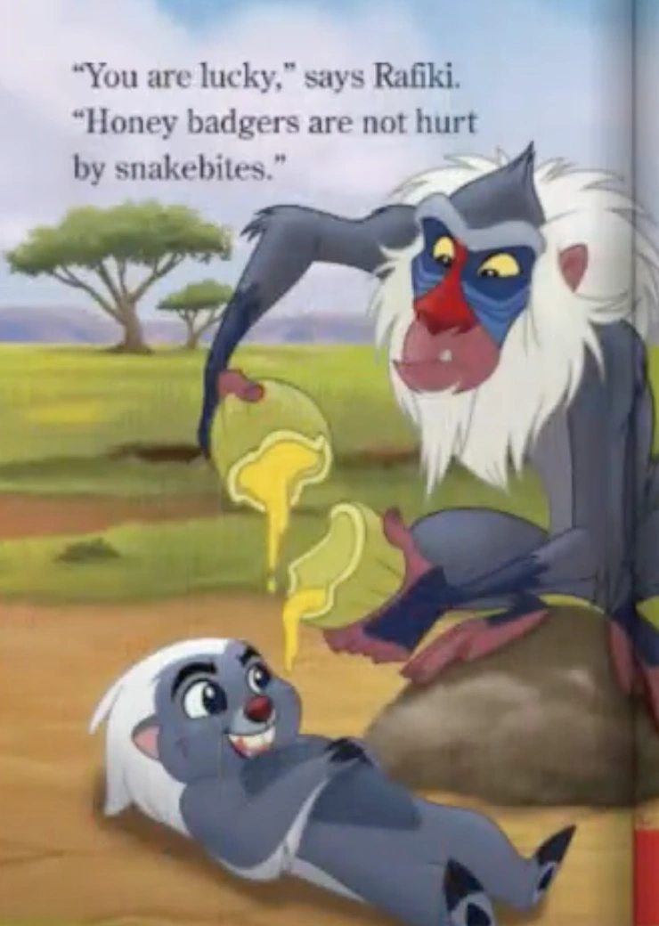 Rafiki/Gallery/Pride Lands Patrol | The Lion Guard Wiki | Fandom