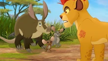 Kion | The Lion Guard Wiki | Fandom