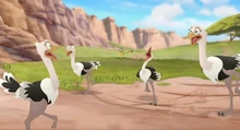 Mbuni | The Lion Guard Wiki | Fandom