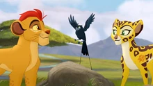 Tamaa | The Lion Guard Wiki | Fandom