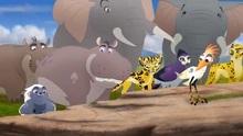 Night Pride | The Lion Guard Wiki | Fandom