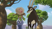 Bupu | The Lion Guard Wiki | Fandom