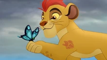 Butterflies | The Lion Guard Wiki | Fandom