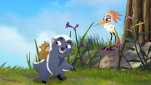 Bunga | The Lion Guard Wiki | Fandom