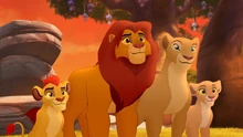 Nala | The Lion Guard Wiki | Fandom