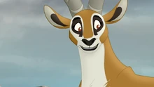 Swala's Herd | The Lion Guard Wiki | Fandom
