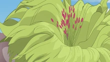 Tamboa Plant | The Lion Guard Wiki | Fandom