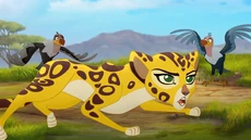 Male Vulture/Relationships | The Lion Guard Wiki | Fandom