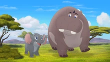 Hippopotamuses | The Lion Guard Wiki | Fandom