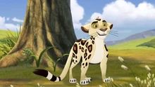 Badili's Tree | The Lion Guard Wiki | Fandom