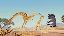 Twiga | The Lion Guard Wiki | Fandom