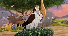 Hadithi | The Lion Guard Wiki | Fandom