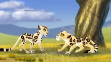 Mapigano | The Lion Guard Wiki | Fandom