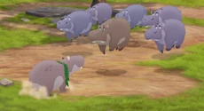 Basi/Relationships | The Lion Guard Wiki | Fandom