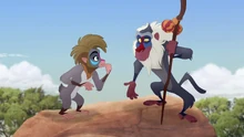 Rafiki | The Lion Guard Wiki | Fandom