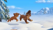 Night Pride | The Lion Guard Wiki | Fandom
