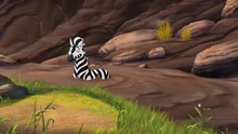 Thurston | The Lion Guard Wiki | Fandom
