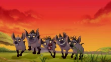 Cheezi | The Lion Guard Wiki | Fandom