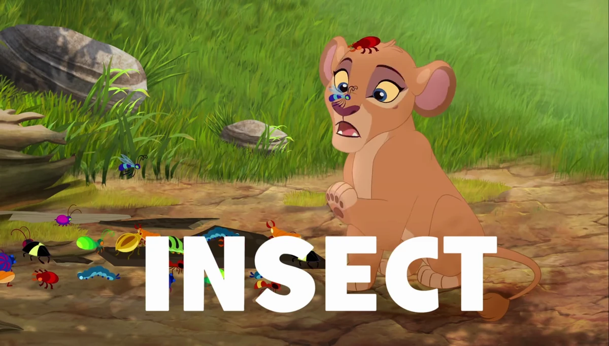 Zuri/Gallery/A to Z with the Lion Guard | The Lion Guard Wiki | Fandom