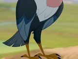 Category:Vultures | The Lion Guard Wiki | Fandom