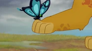 Butterflies/Gallery/Bunga the Wise (episode) | The Lion Guard Wiki | Fandom