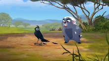 Bunga | The Lion Guard Wiki | Fandom