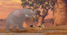 Ma Tembo | The Lion Guard Wiki | Fandom