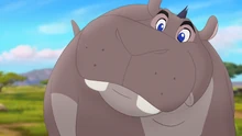 Hippopotamuses | The Lion Guard Wiki | Fandom