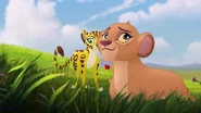 Zuri/Gallery/Fuli's New Family | The Lion Guard Wiki | Fandom