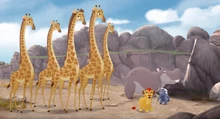 Twiga's Herd | The Lion Guard Wiki | Fandom