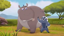 Bunga | The Lion Guard Wiki | Fandom