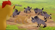 Cheezi | The Lion Guard Wiki | Fandom