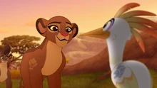 Rani | The Lion Guard Wiki | Fandom