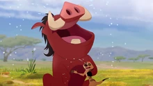Pumbaa | The Lion Guard Wiki | Fandom