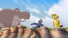 Bunga | The Lion Guard Wiki | Fandom