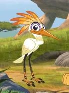 Ono/Gallery | The Lion Guard Wiki | Fandom