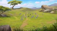 Thurston's Herd | The Lion Guard Wiki | Fandom