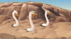 Mbuni's Flock | The Lion Guard Wiki | Fandom