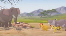 Ma Tembo | The Lion Guard Wiki | Fandom