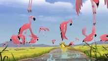 Flamingos | The Lion Guard Wiki | Fandom