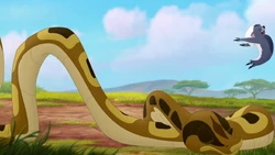 Male Python/Relationships | The Lion Guard Wiki | Fandom