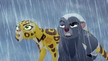 Fuli | The Lion Guard Wiki | Fandom
