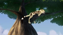 Badili | The Lion Guard Wiki | Fandom