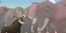 Ma Tembo | The Lion Guard Wiki | Fandom