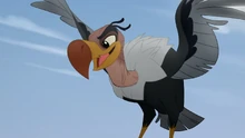Mzingo's Parliament | The Lion Guard Wiki | Fandom