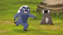 Bunga | The Lion Guard Wiki | Fandom