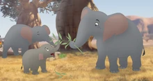 Ma Tembo's Herd | The Lion Guard Wiki | Fandom