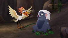 Bunga | The Lion Guard Wiki | Fandom